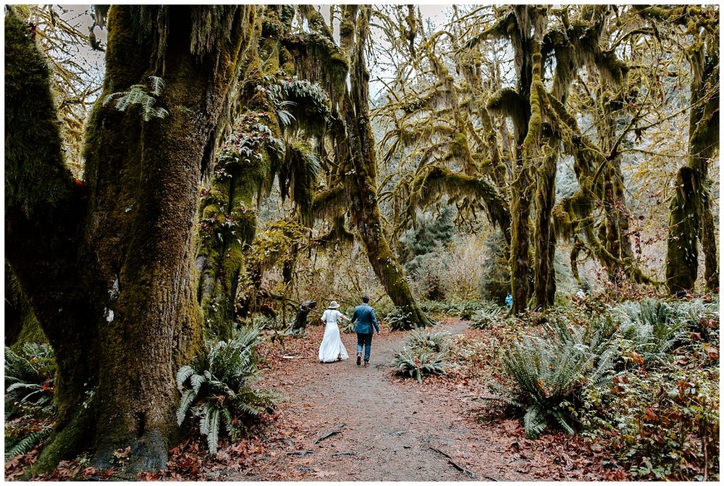 Hoh Rainforest Elopement - Courtney Lynn