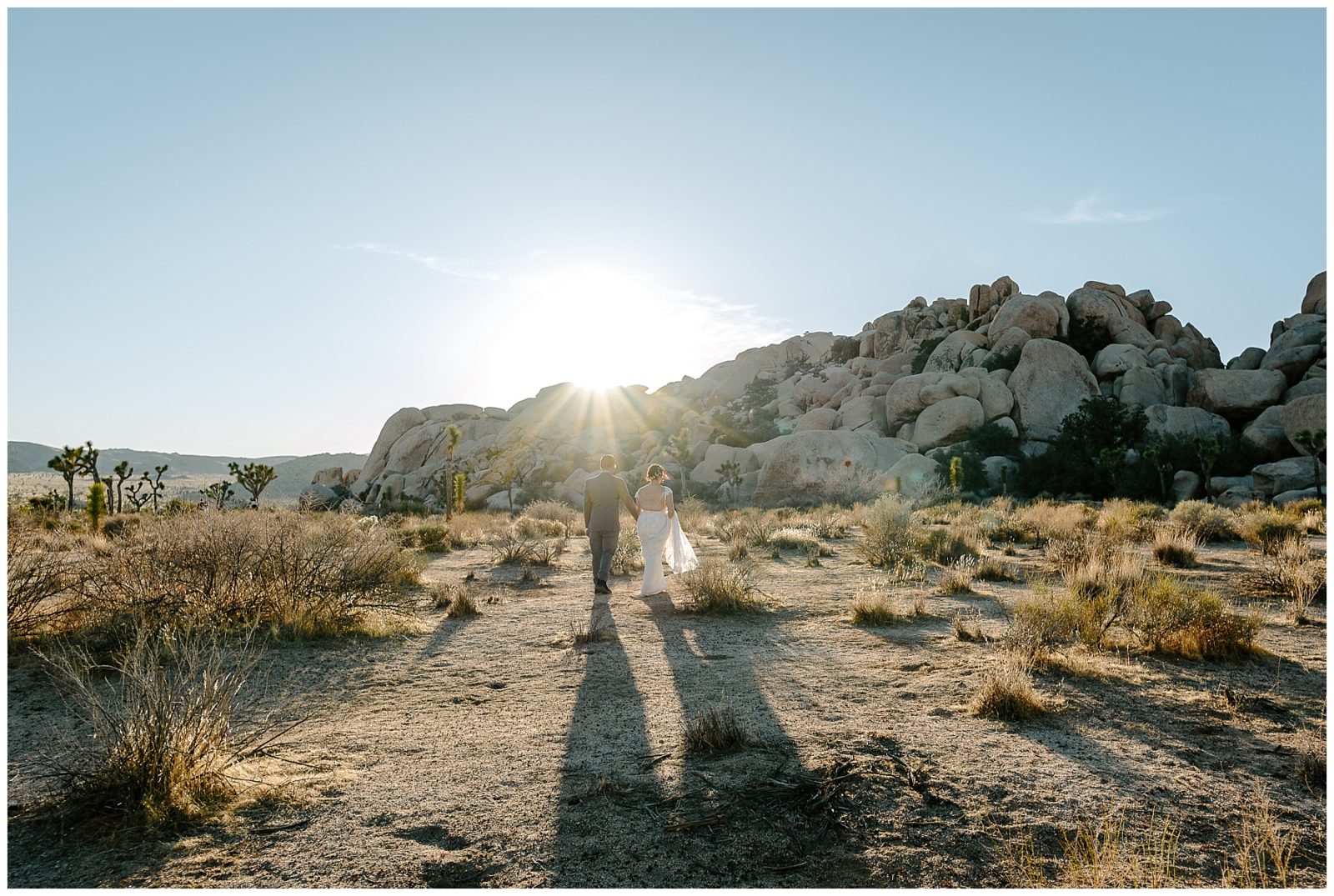 Joshua Tree Photographer | Packages and Guide - Courtney Lynn